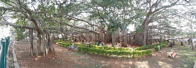 Fun Activities to do in Bangalore | Breakout®